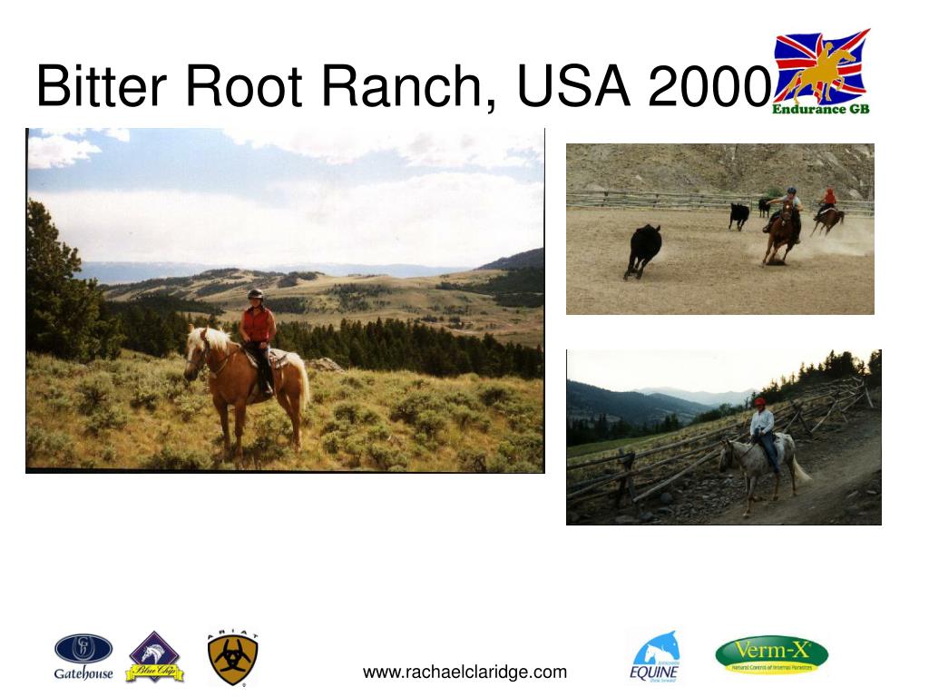PPT - Rachael Claridge International Endurance Rider UKCC Accredited ...