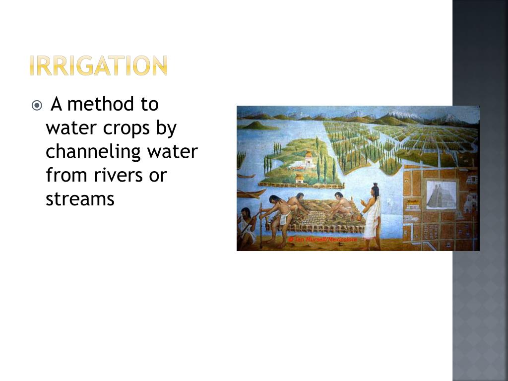 PPT - Coming to America: The story of Columbus to Colonial America ...