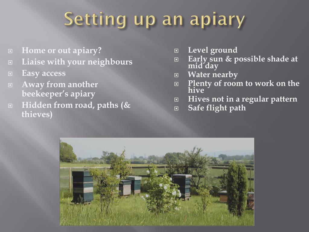 PPT - Introduction to Beekeeping PowerPoint Presentation, free download ... PPT - Introduction to Beekeeping PowerPoint Presentation, free download ...