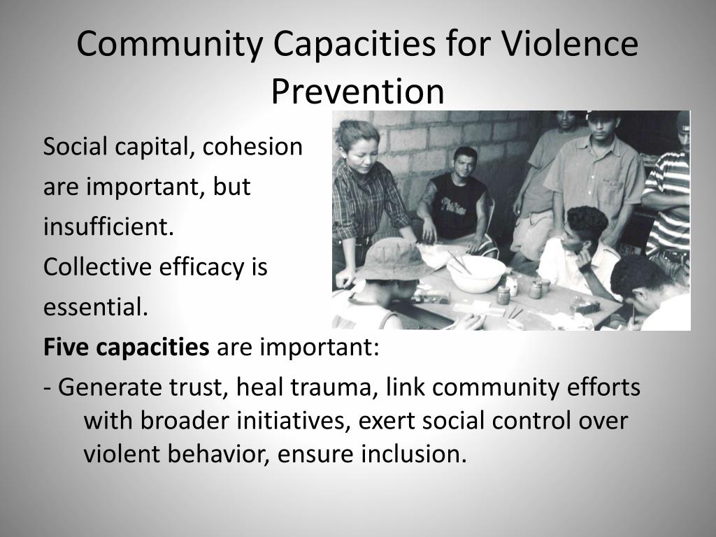 PPT - VIOLENCE IN THE CITY Understanding and Supporting Community ...