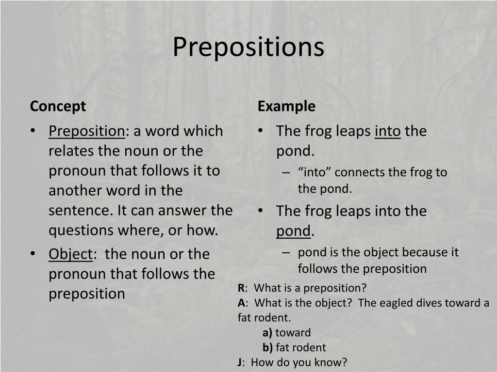 PPT - The Golden Lion Tamarin Comes Home PowerPoint Presentation, free ...