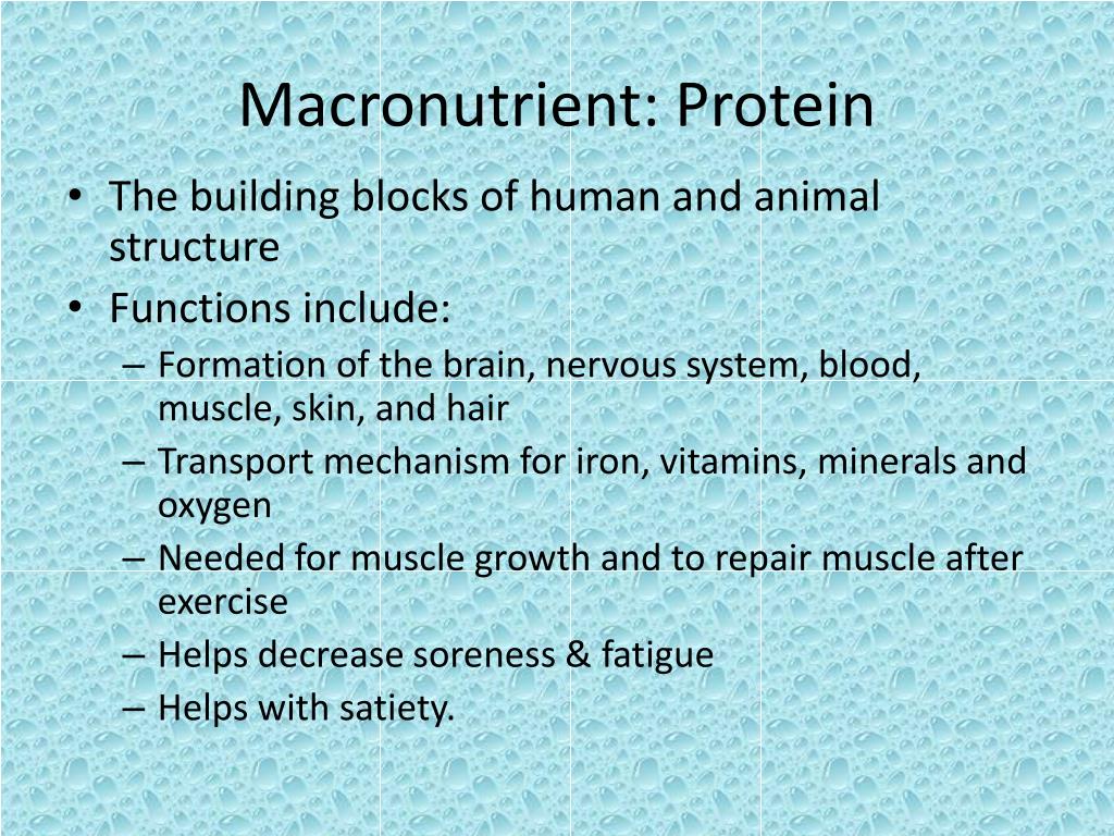 PPT - Importance of Nutrition: Food is Fuel PowerPoint Presentation ...