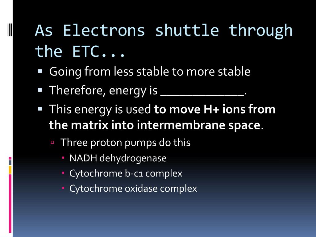PPT - Electron transport and chemiosmosis PowerPoint Presentation, free ...