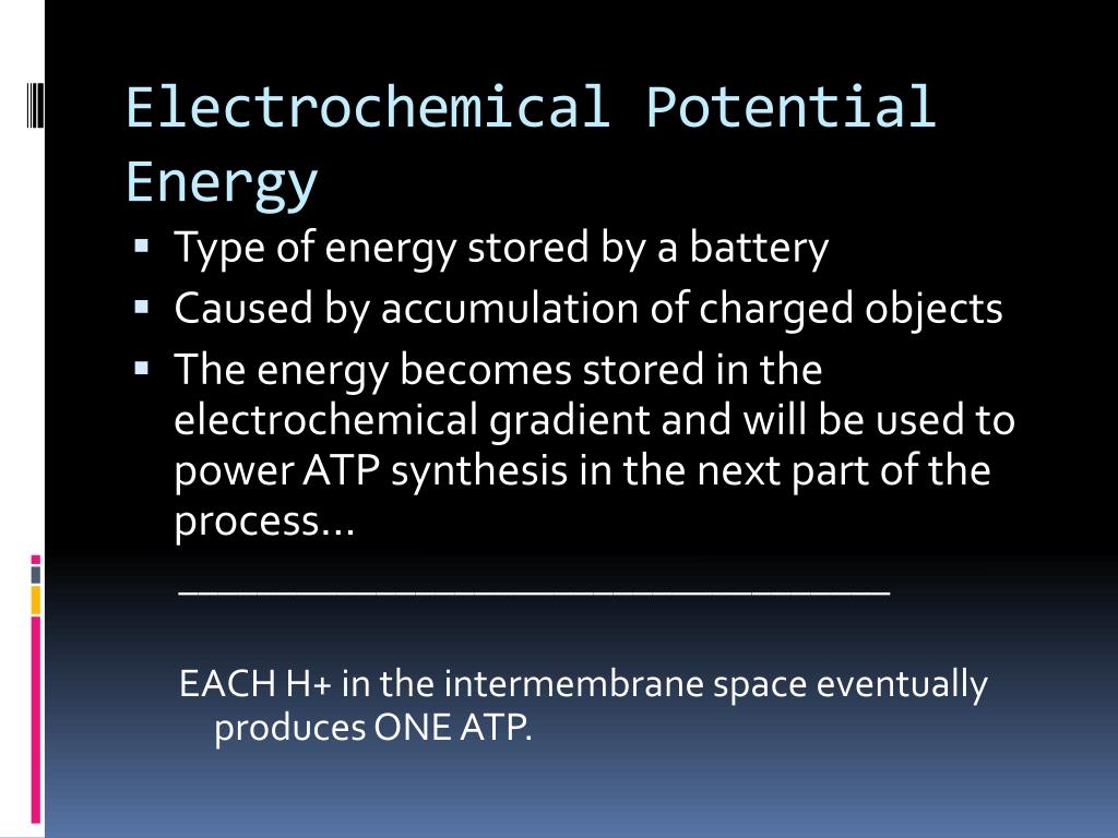PPT - Electron transport and chemiosmosis PowerPoint Presentation, free ...