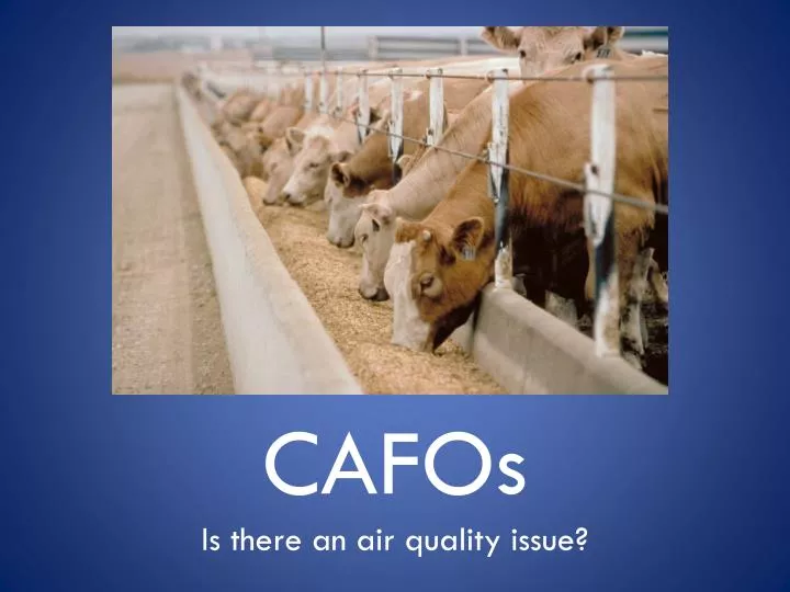 PPT - CAFOs PowerPoint Presentation, free download - ID:1596201