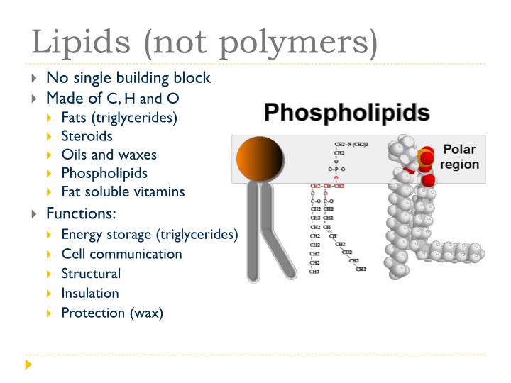 PPT - Unit Two: Diabetes PowerPoint Presentation - ID:1596234