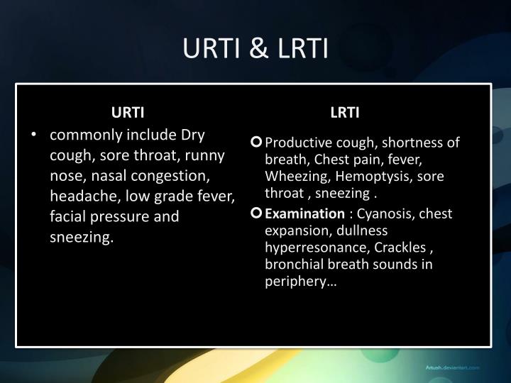 PPT - Upper respiratory tract infections PowerPoint Presentation - ID ...