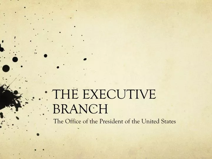 PPT - THE EXECUTIVE BRANCH PowerPoint Presentation, free download - ID ...