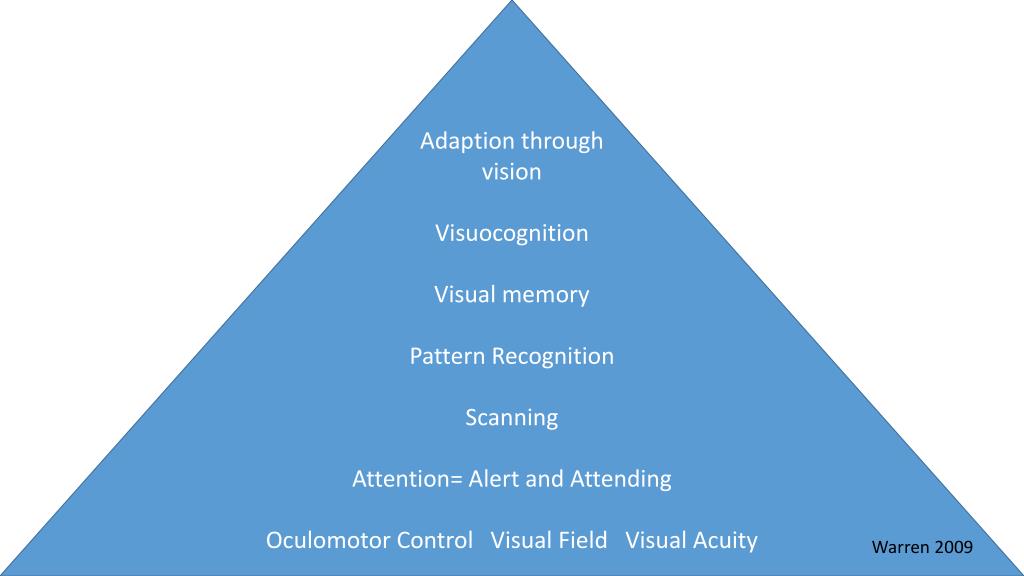 PPT - Occupational Therapy & Visual Rehabilitation Presenter: Linda ...