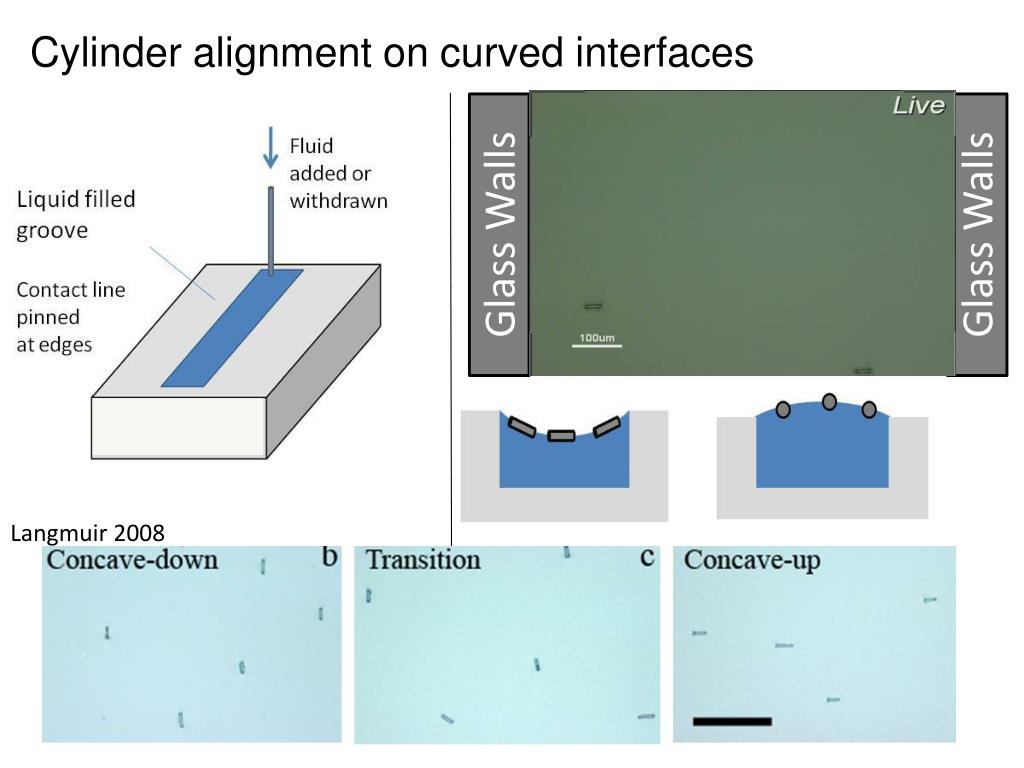 PPT - Capillary Interactions between Anisotropic Particles Kathleen J ...