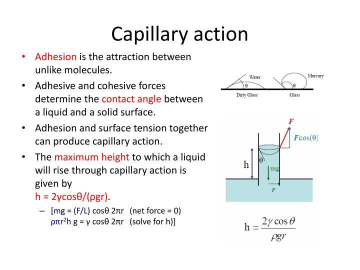 PPT - Physics 221, March 15 PowerPoint Presentation - ID:1597550