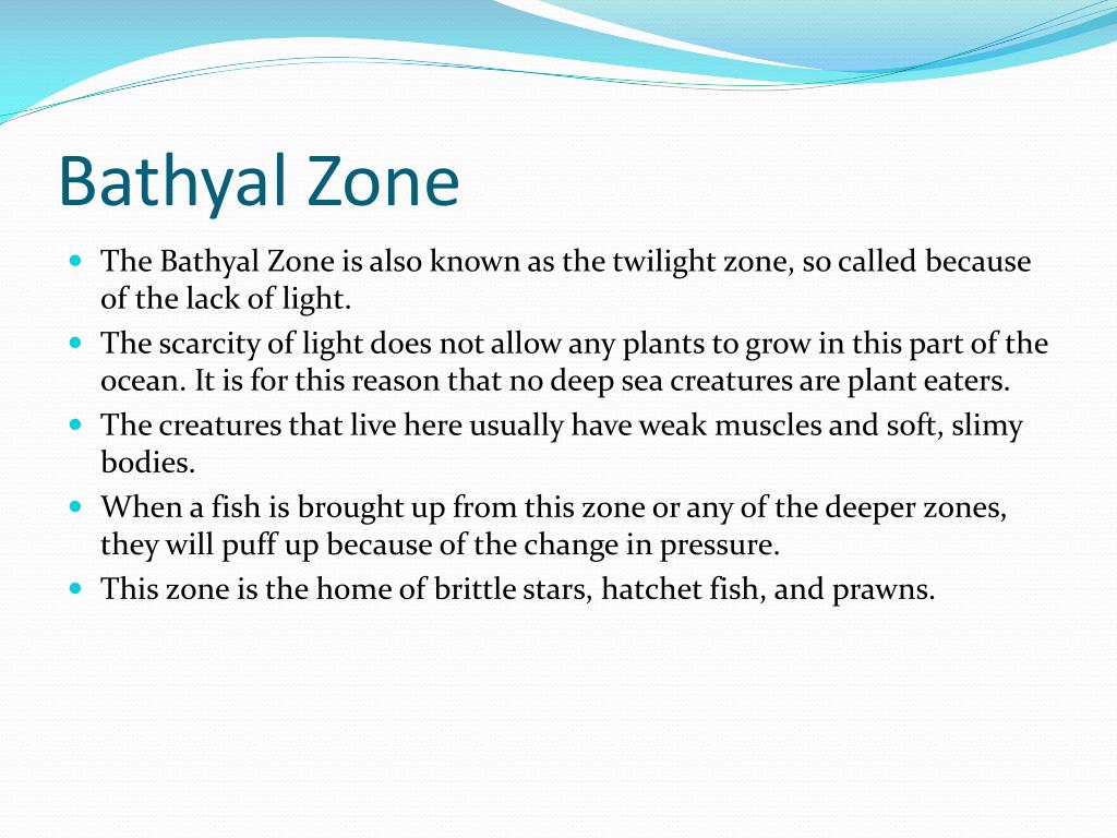 PPT - Marine Animal Life: Deep Water PowerPoint Presentation, free ...