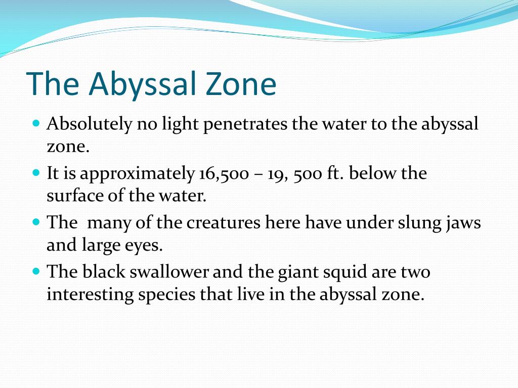 PPT - Marine Animal Life: Deep Water PowerPoint Presentation, free ...