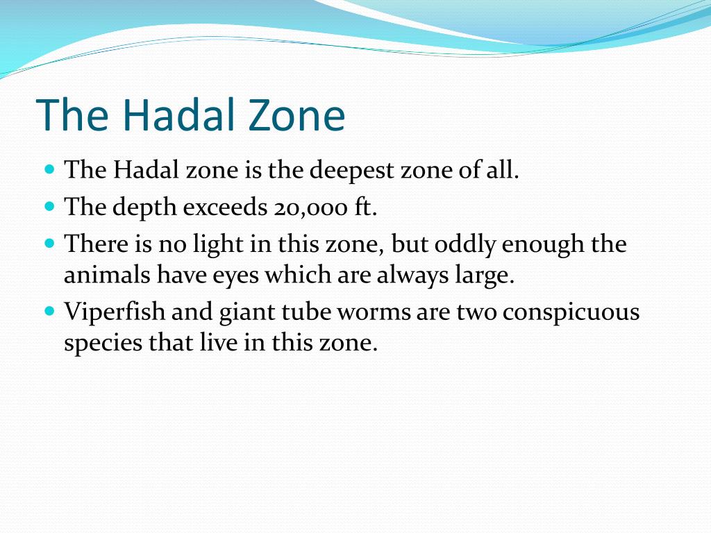 PPT - Marine Animal Life: Deep Water PowerPoint Presentation, free ...