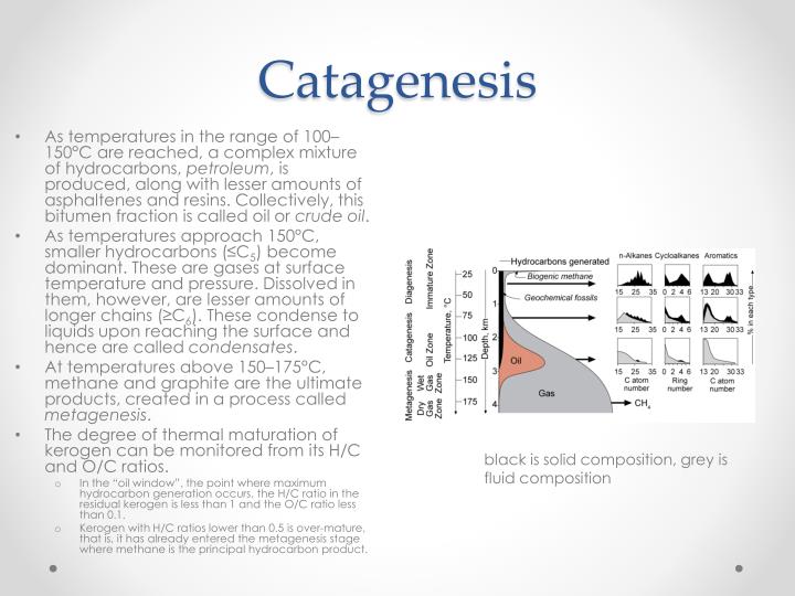 PPT - Diagenesis , Catagenesis and Petroleum; The Carbon Cycle ...