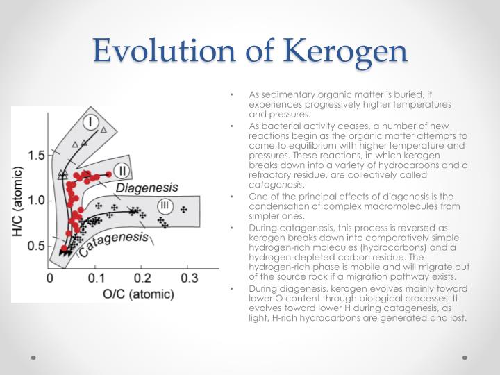 PPT - Diagenesis , Catagenesis and Petroleum; The Carbon Cycle ...