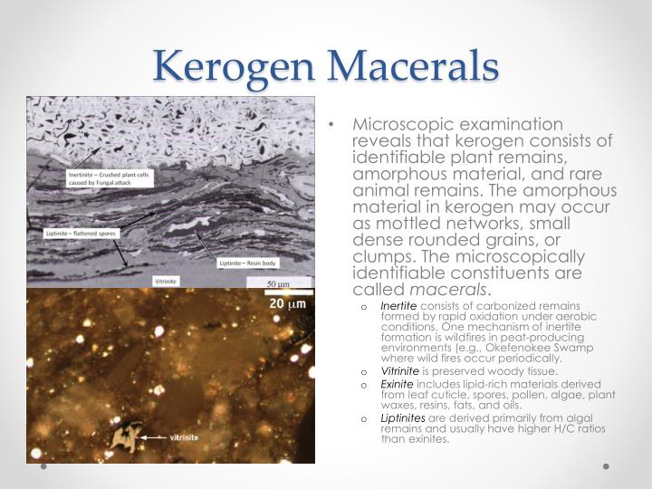 PPT - Diagenesis , Catagenesis and Petroleum; The Carbon Cycle ...