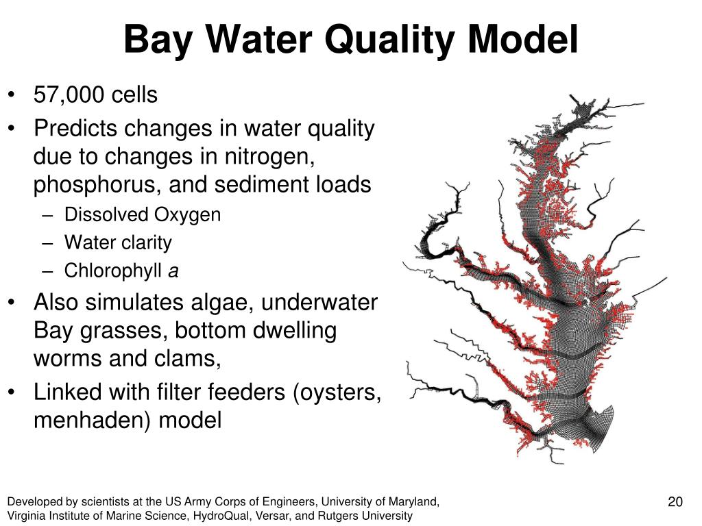 PPT - Chesapeake Bay TMDL Primer: Chesapeake Bay Watershed and Bay ...