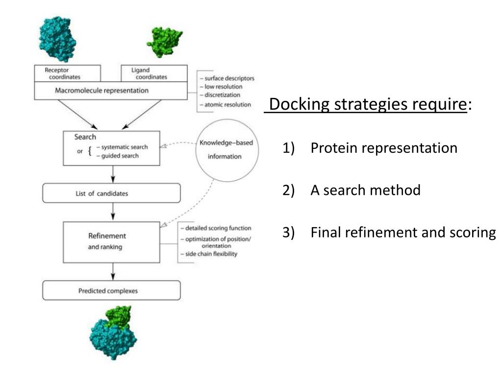 Ppt Molecular Docking Powerpoint Presentation Free Download Id 1598394