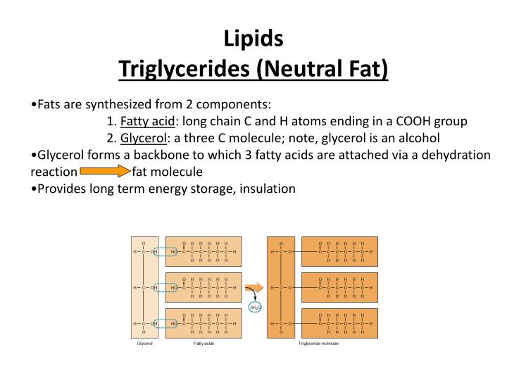 PPT - Organic Compounds PowerPoint Presentation - ID:1598425