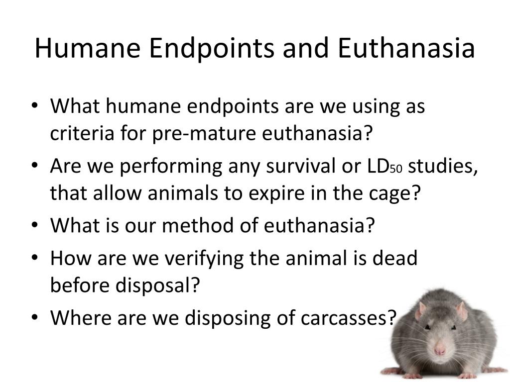 PPT - USC Laboratory Animal Training Annual Refresher PowerPoint ...