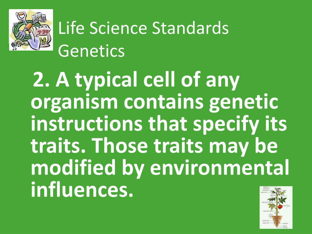 PPT - Understanding Cell Biology: Foundations of Life Science and ...