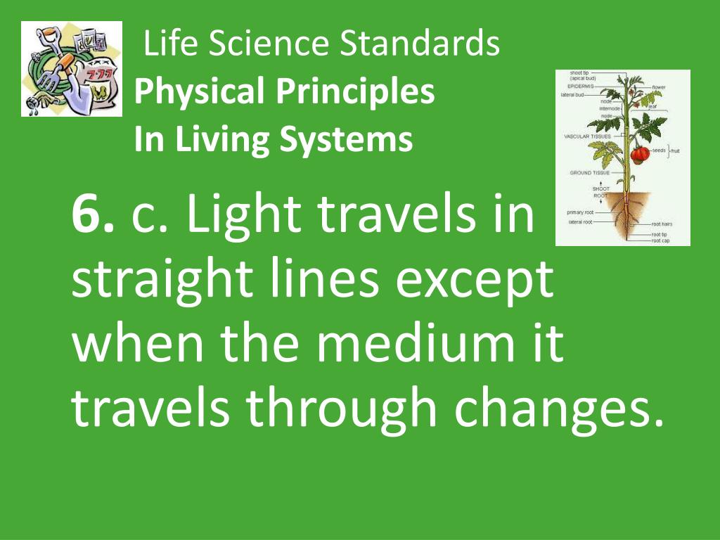 PPT - Understanding Cell Biology: Foundations of Life Science and ...