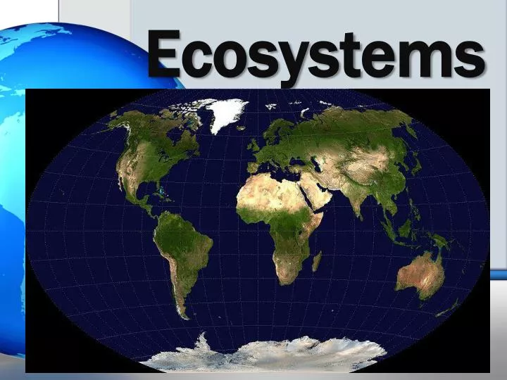 PPT - Ecosystems PowerPoint Presentation, free download - ID:1599222