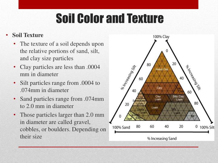 PPT - Subsidence and Soils PowerPoint Presentation - ID:1599723