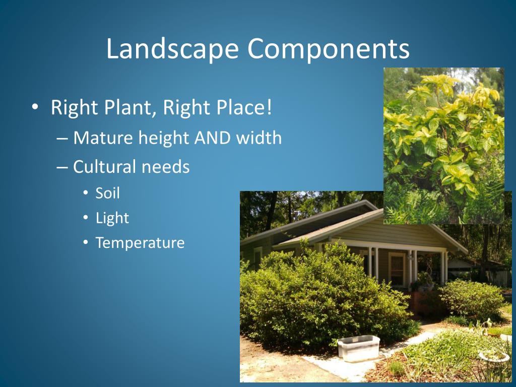 PPT - Designing for Florida-Friendly Landscape Maintenance Erin Alvarez ...