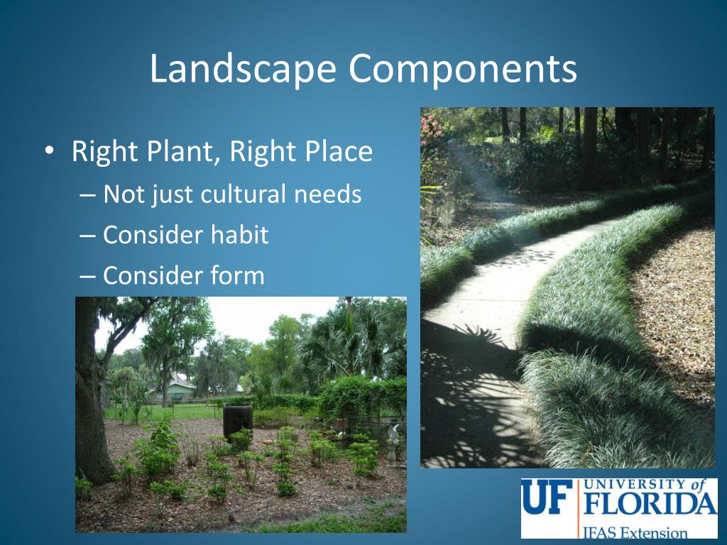 PPT - Designing for Florida-Friendly Landscape Maintenance Erin Alvarez ...