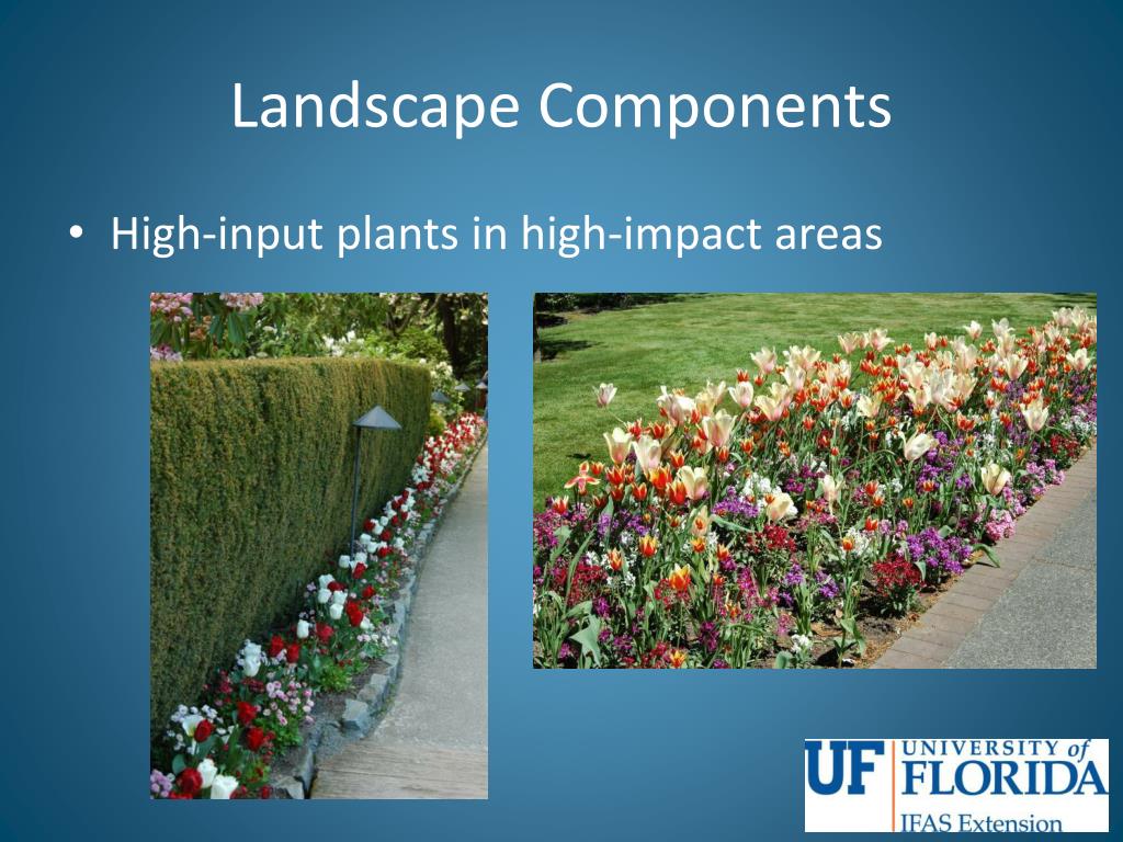PPT - Designing for Florida-Friendly Landscape Maintenance Erin Alvarez ...