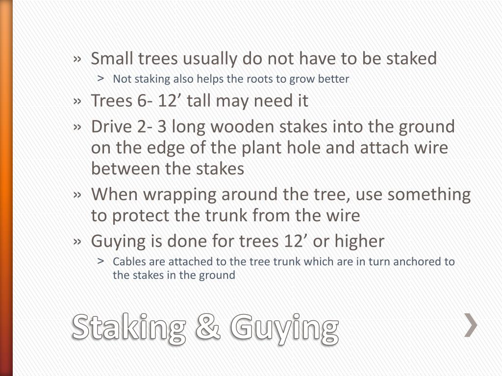 PPT - Installing Woody Landscape Plants, Ground Covers, Perennials, and ...