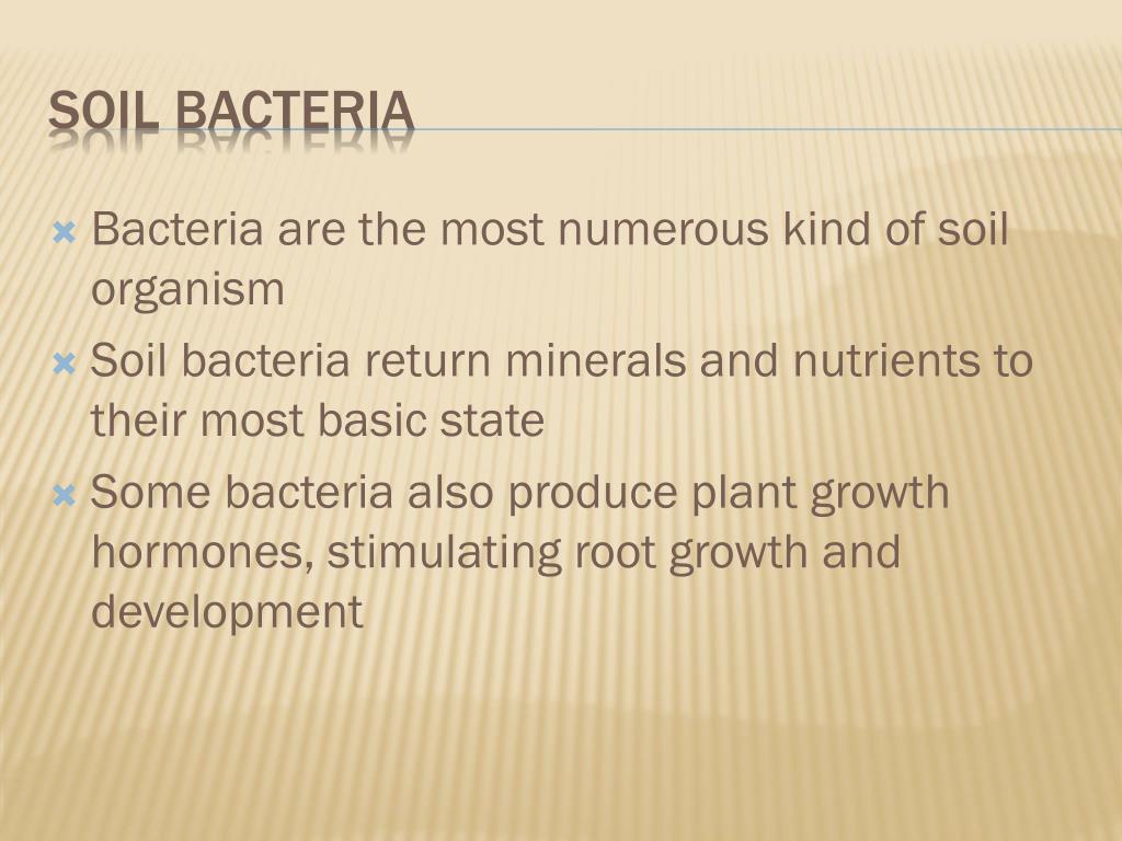 PPT - Soils and Gardening Based on “Sustainable Soil Management” from ...