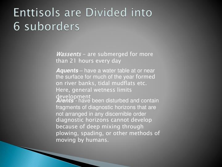 PPT - GELISOLS PowerPoint Presentation - ID:1600209