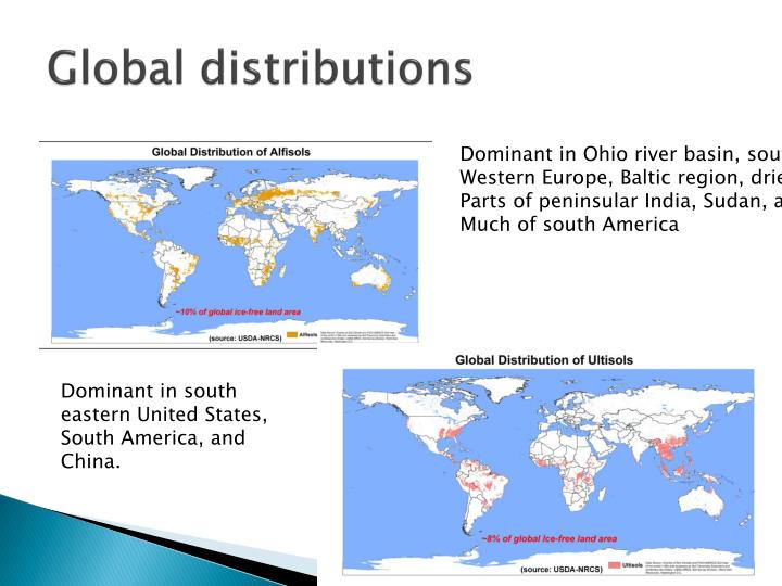 PPT - GELISOLS PowerPoint Presentation - ID:1600209