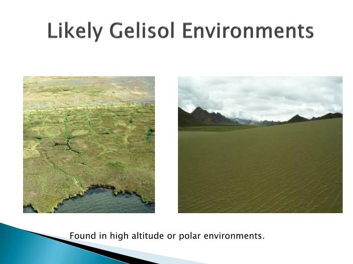 PPT - GELISOLS PowerPoint Presentation - ID:1600209