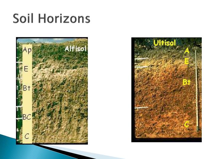 PPT - GELISOLS PowerPoint Presentation - ID:1600209