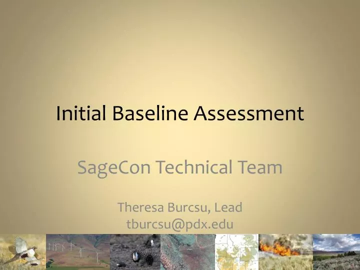 PPT - Initial Baseline Assessment PowerPoint Presentation, free ...