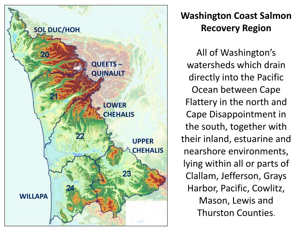 PPT - Washington Coast Sustainable Salmon Plan PowerPoint Presentation ...