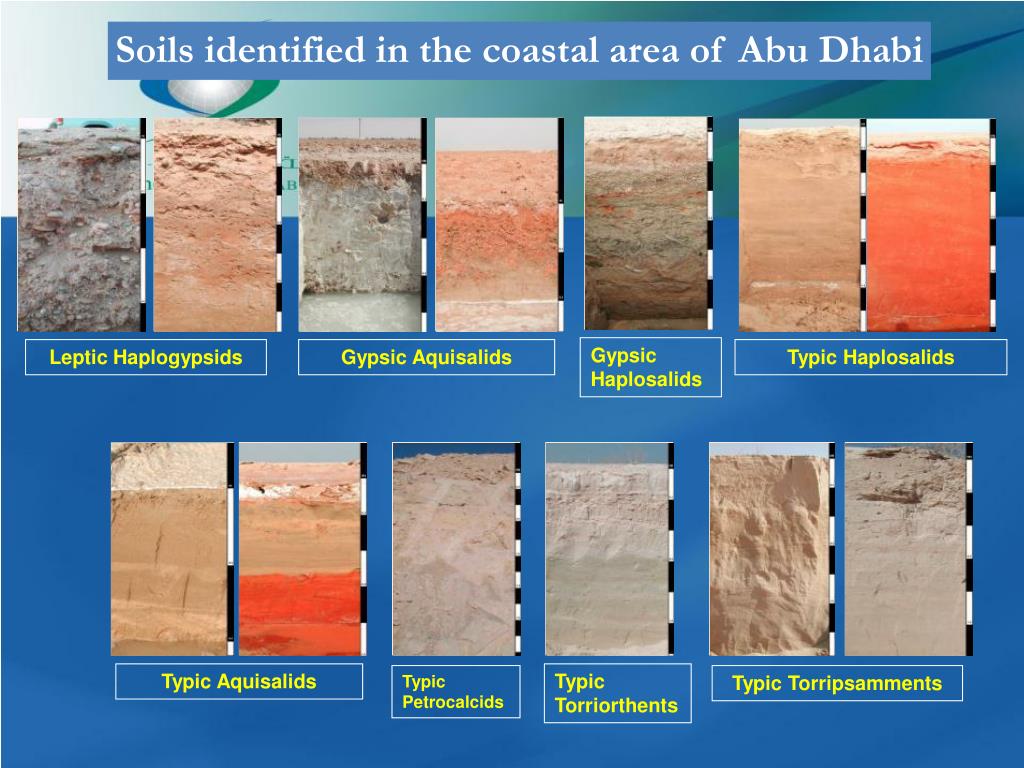 PPT - Soil Survey of Abu Dhabi and Future Land Use Planning Mahmoud ...