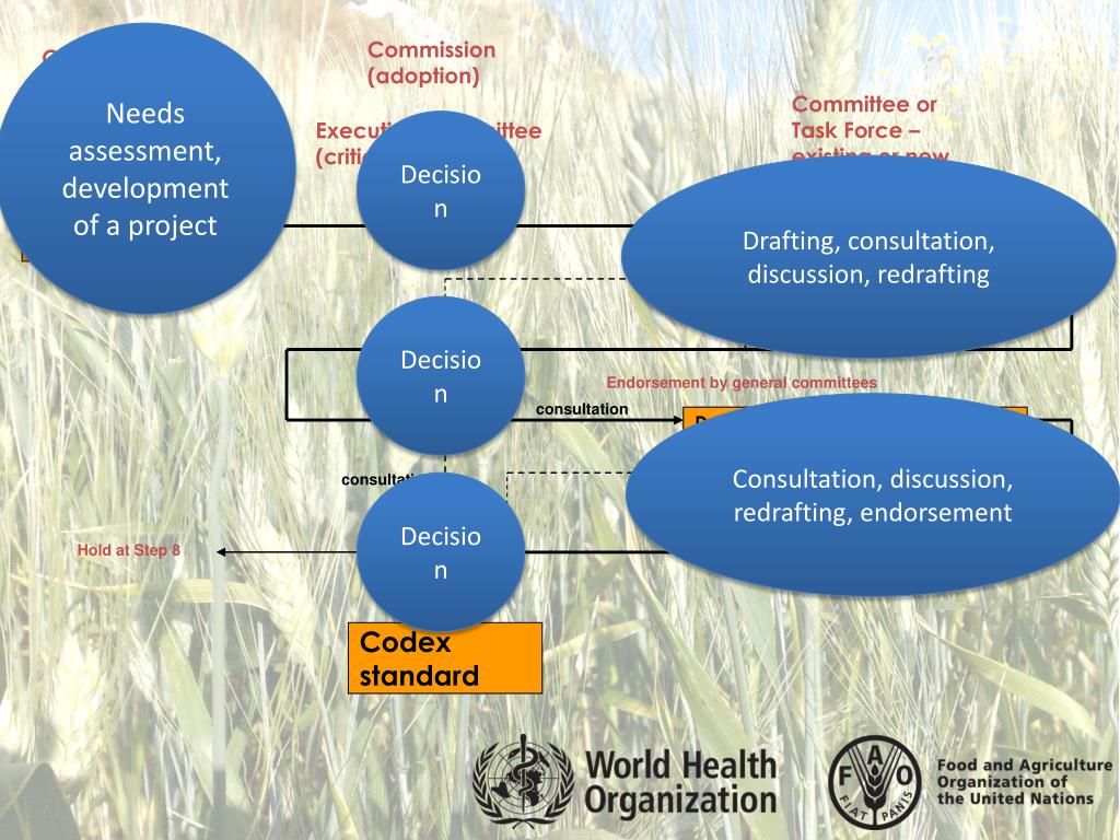 PPT - CODEX ALIMENTARIUS INTERNATIONAL FOOD STANDARDS Tom Heilandt ...