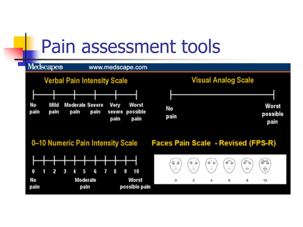 PPT - Contemporary Pain Assessment and Management in Today’s Adult and ...