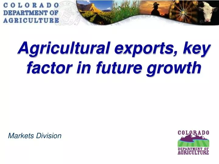 PPT - Markets Division PowerPoint Presentation, free download - ID:1601868