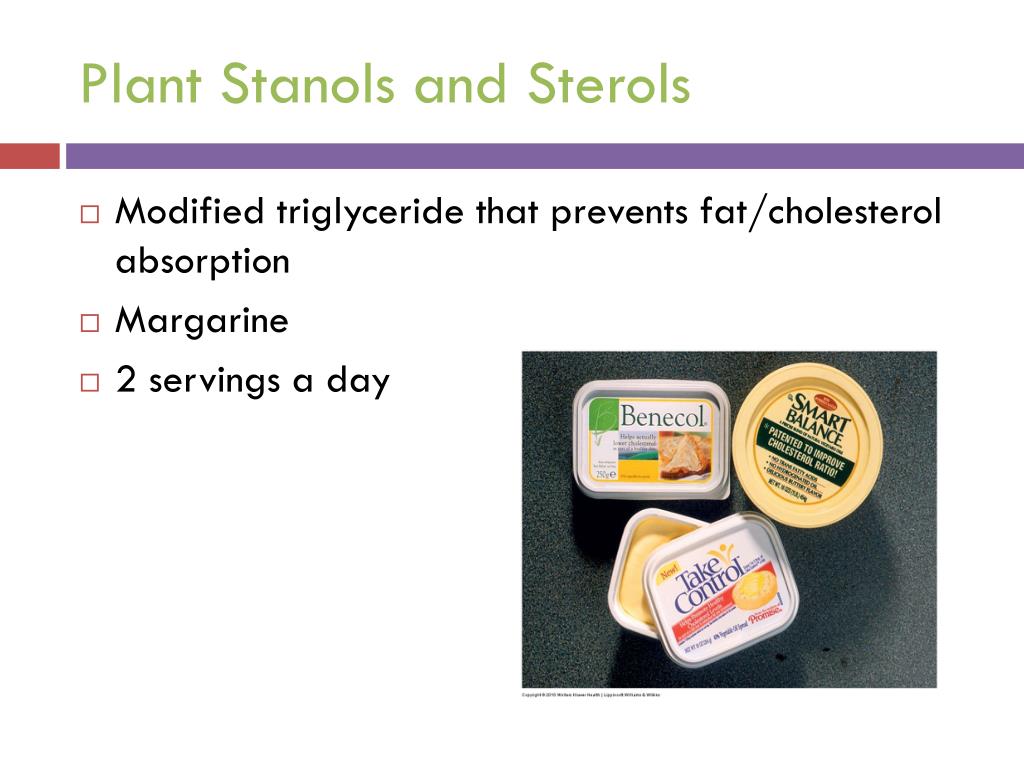 PPT - SERVING GUESTS WITH SPECIAL HEALTH NEEDS Obesity Cardiovascular ...