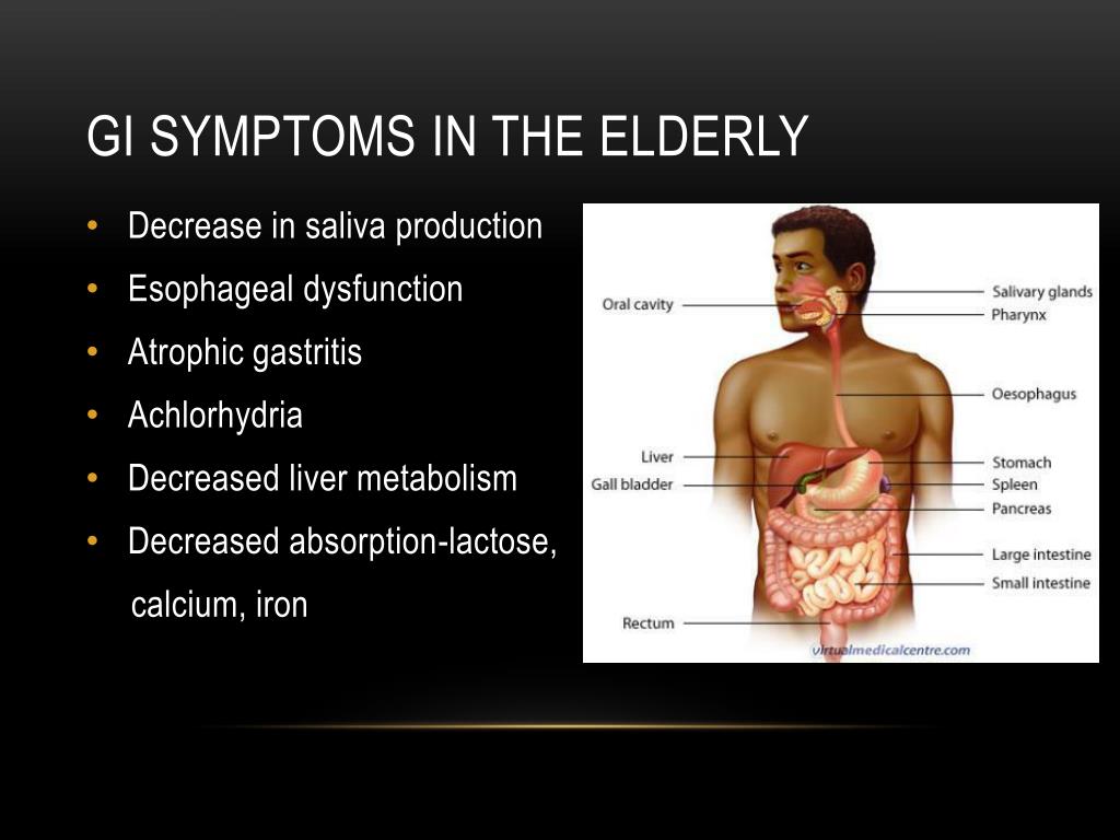 PPT - Nutrition Interventions in the anorexic Geriatric Patient ...