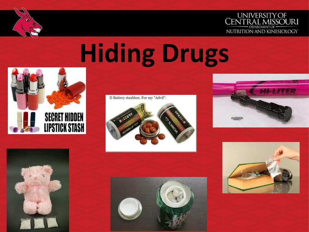 PPT - Marilyn Grechus , Ph.D. Professor of Health Education University ...
