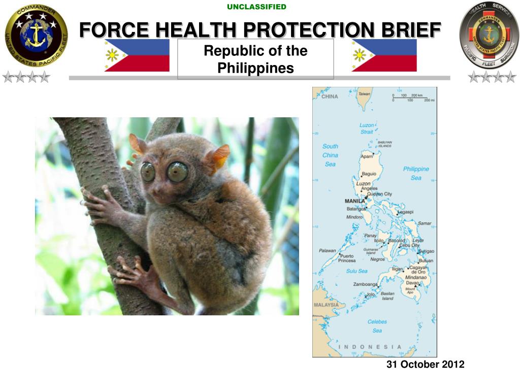 PPT - Republic of the Philippines PowerPoint Presentation, free ...