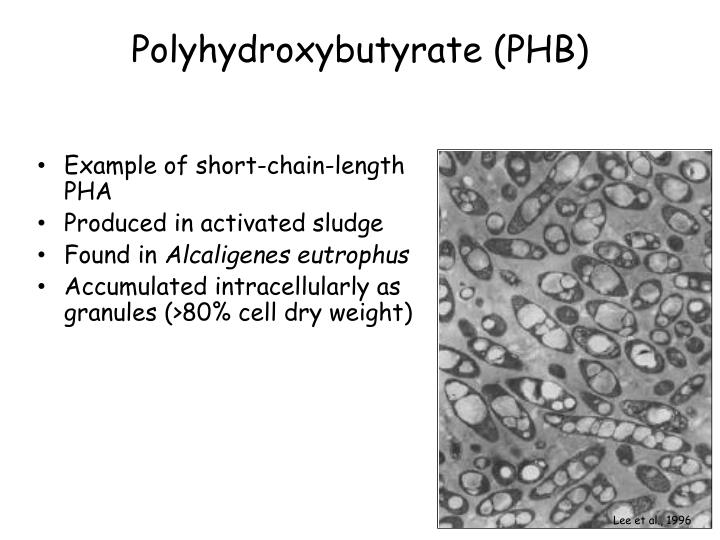 PPT - BIOPOLYMERS PowerPoint Presentation - ID:1602764