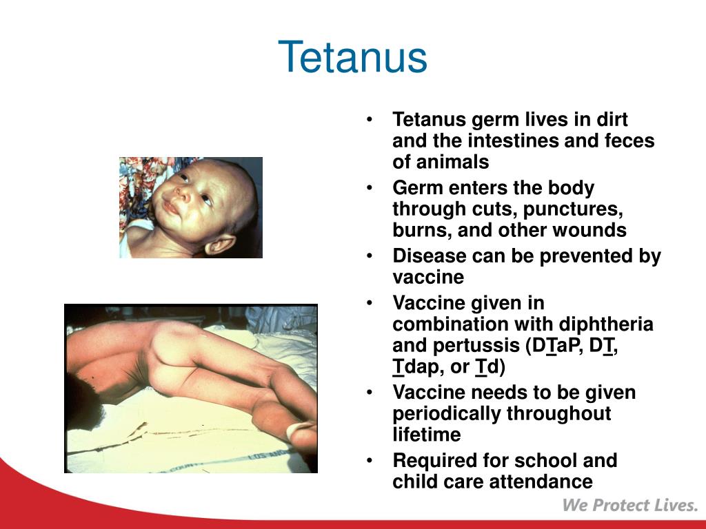 PPT - Georgia Requirements for School and Childcare Attendance ...